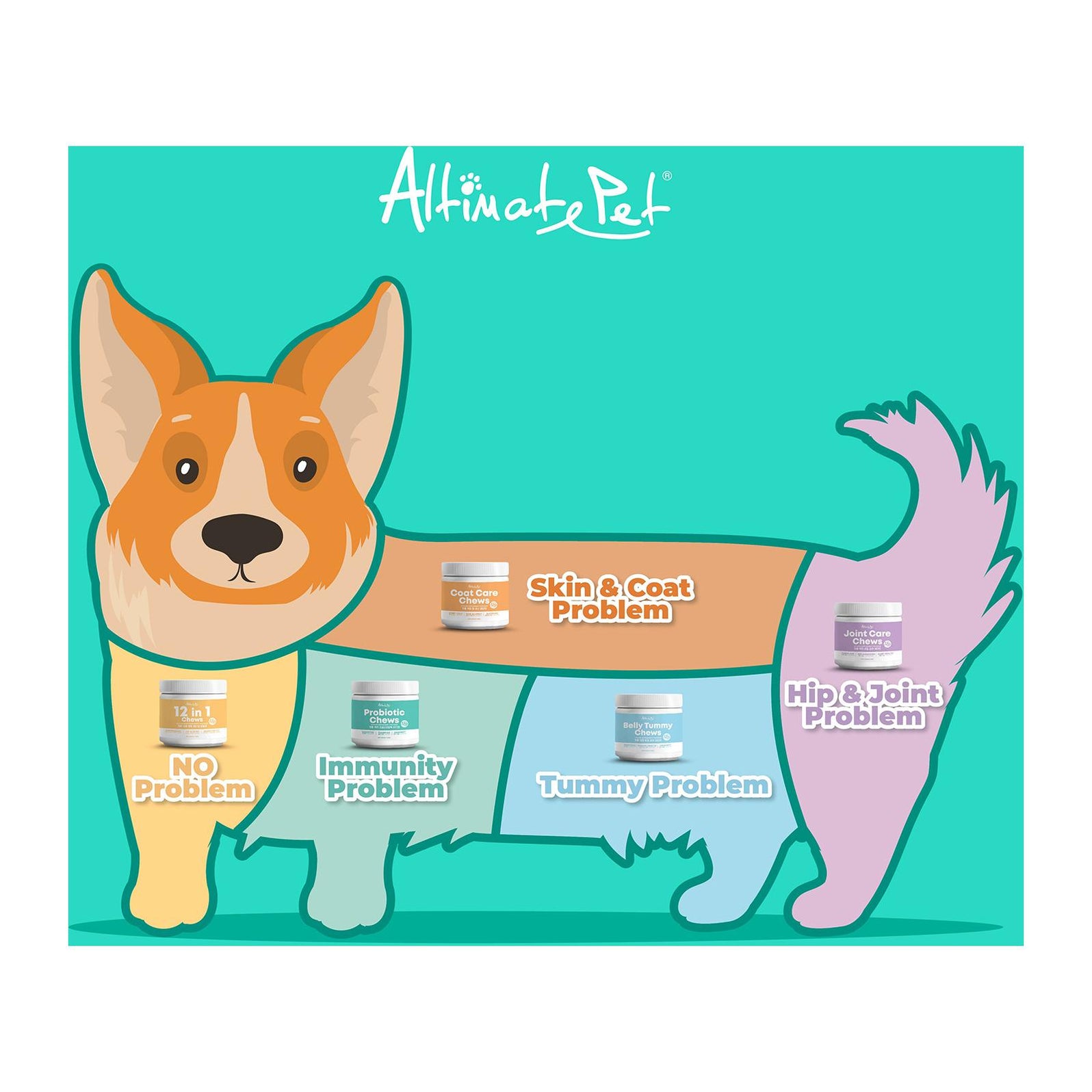 Altimate Pet Coat Care Vitamin Supplement For Dogs — Neko.SG